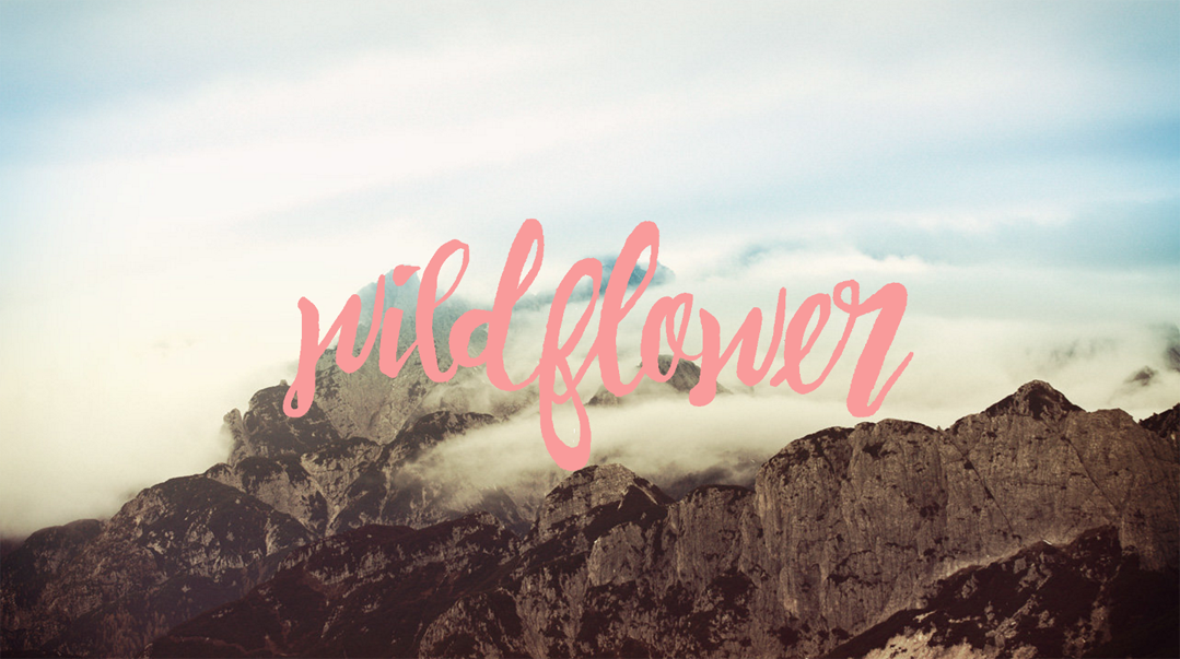 Caitlin Reid | Developer / Designer